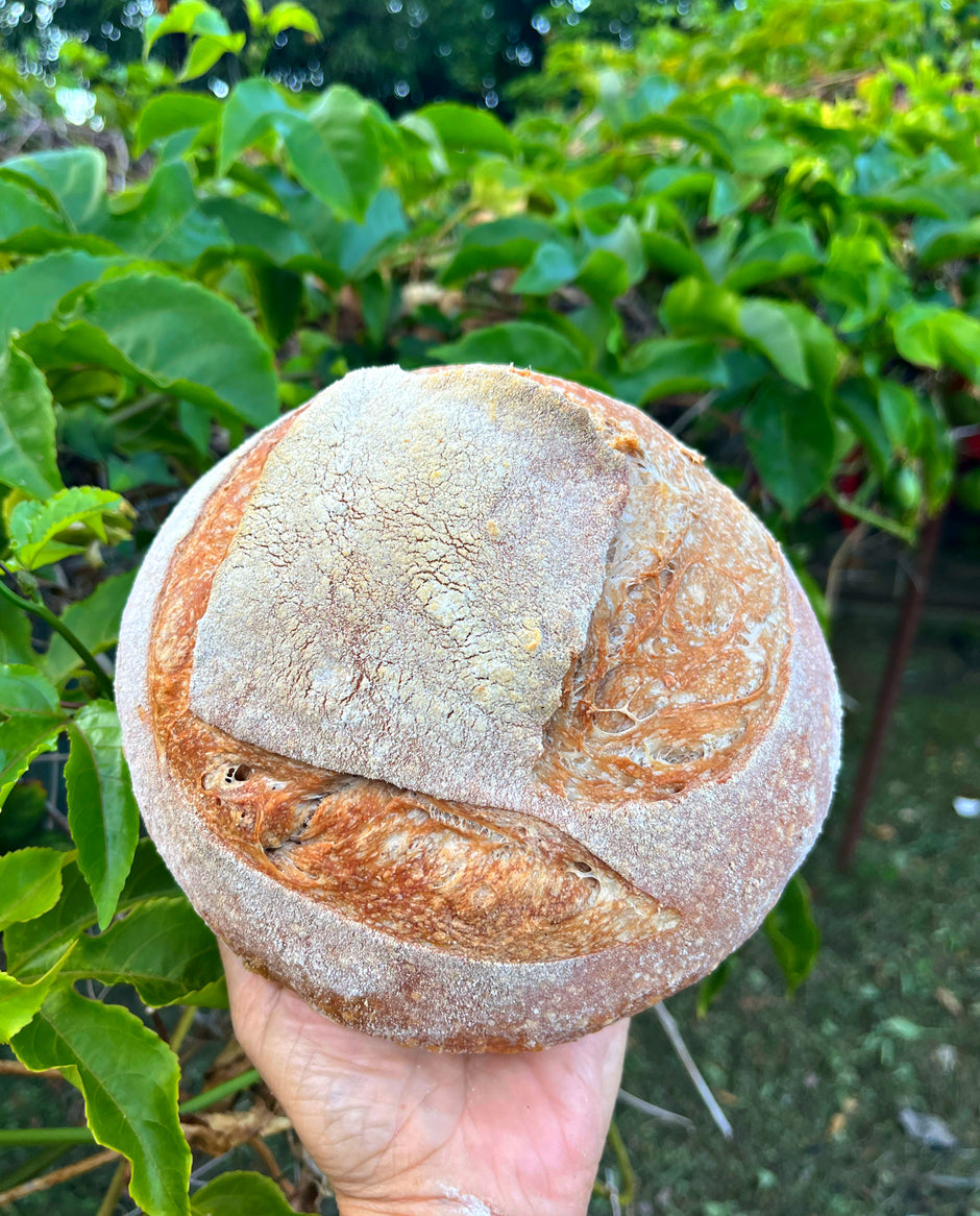 Caribbean Gypsy Bakers